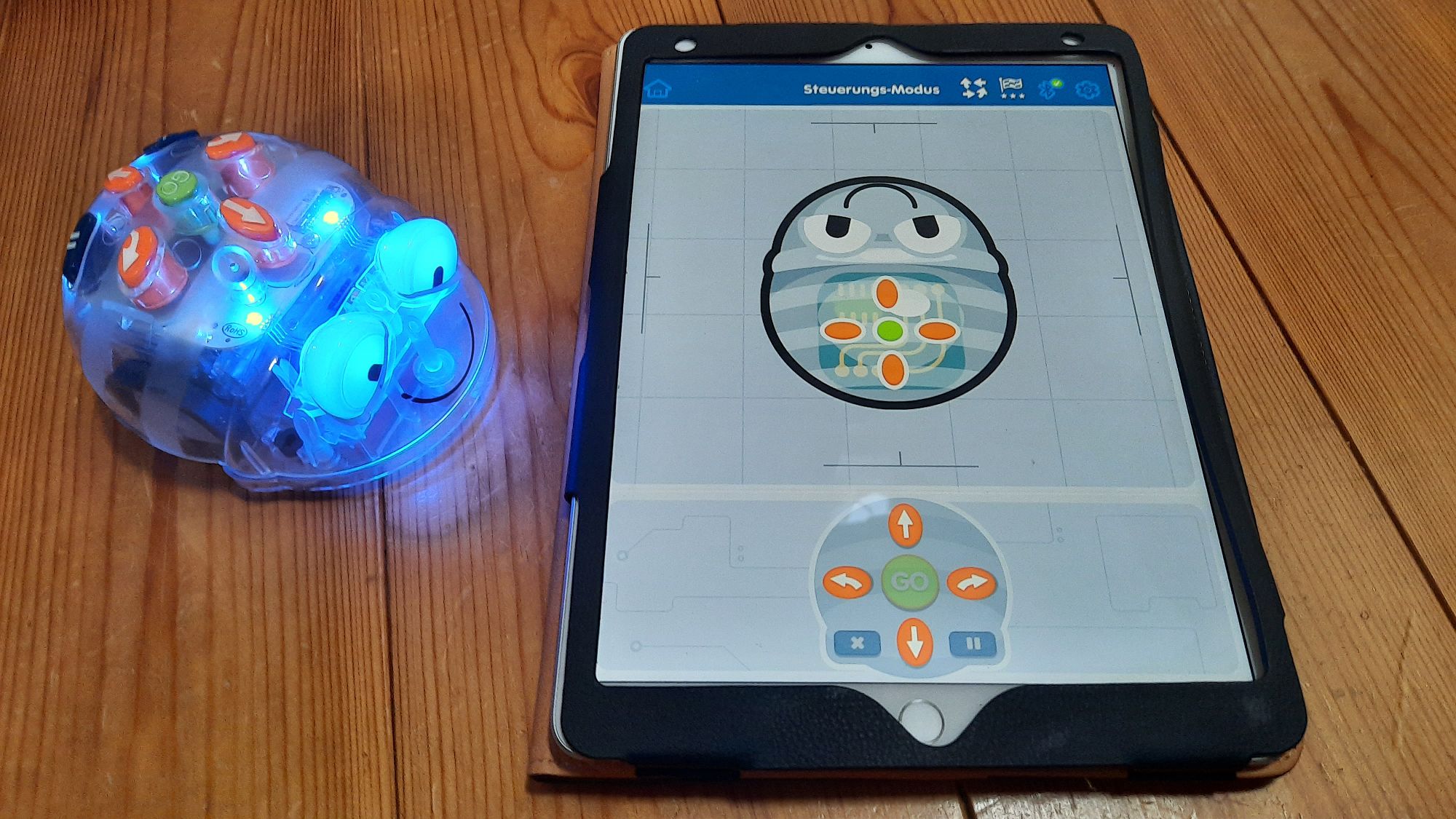 Meet and Code Programmieren lernen mit dem Blue-Bot